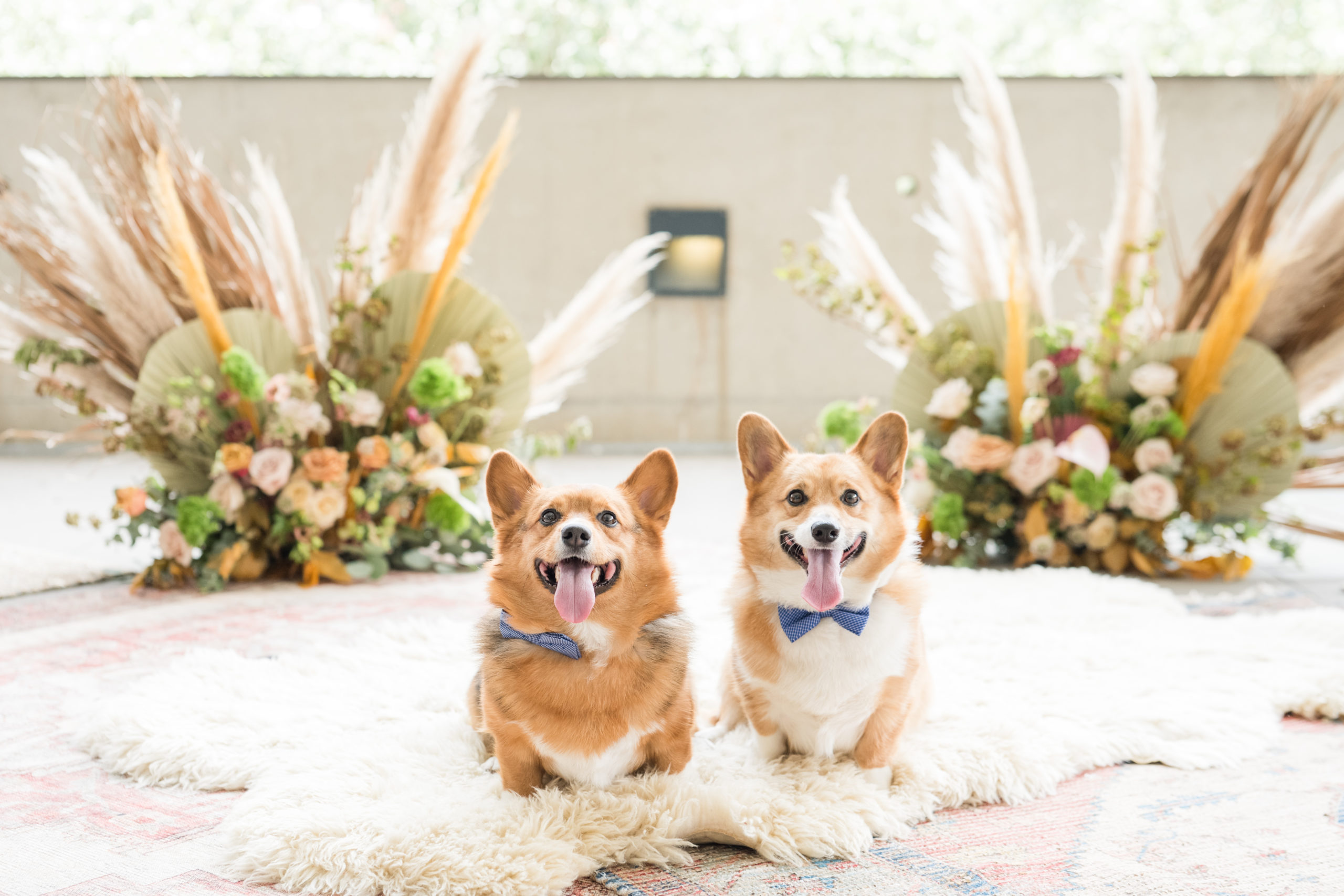 Austin Florist and Event Design | Bella by Sara